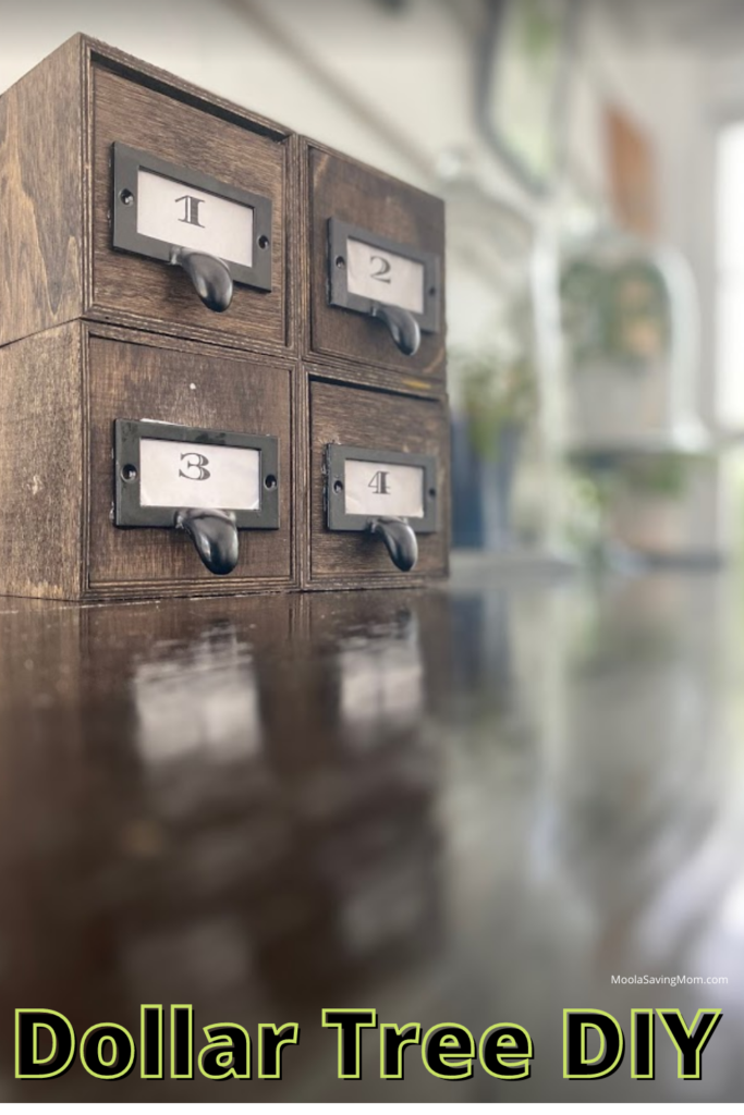 Dollar Tree DIY Drawers | Moola Saving Mom